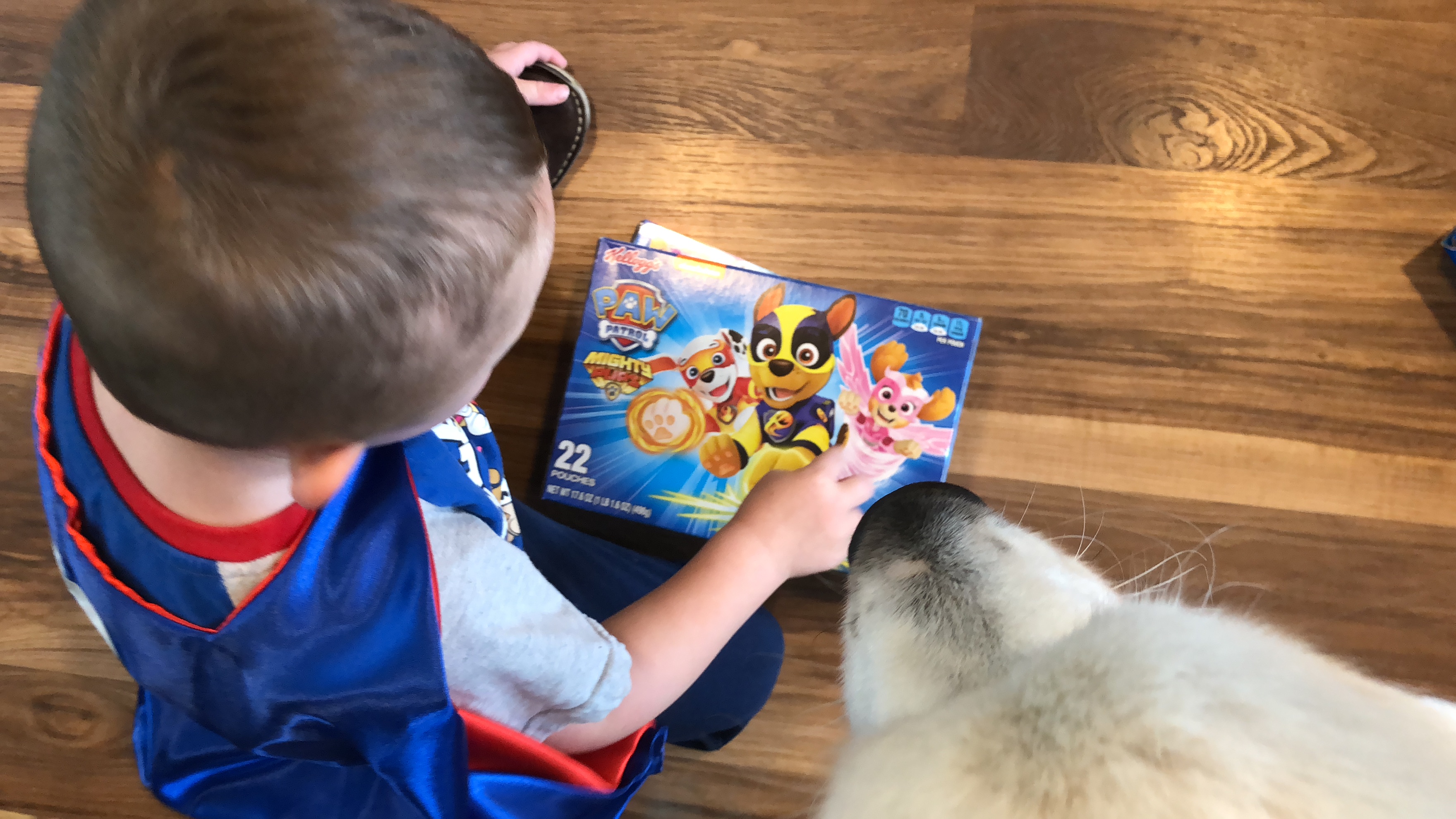 Paw Patrol Mighty Pups Promo From Spin Master! New Paw Patrol Mighty ...